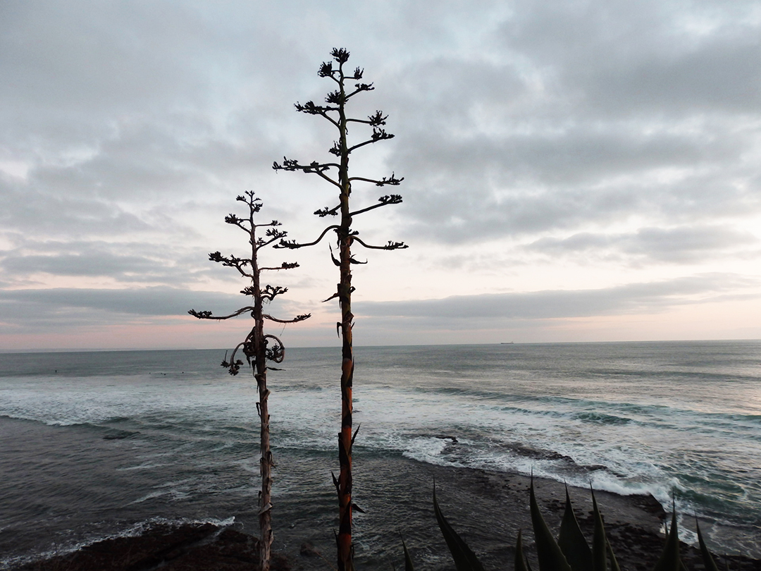 Parede Tour: an Ode to my Hometown in Portugal | CITY ODES
